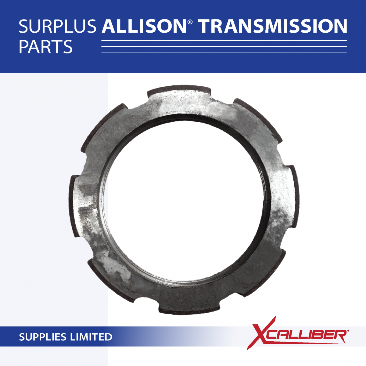 29506387-S | Xcalliber