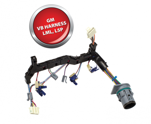 29545307-DF | Xcalliber