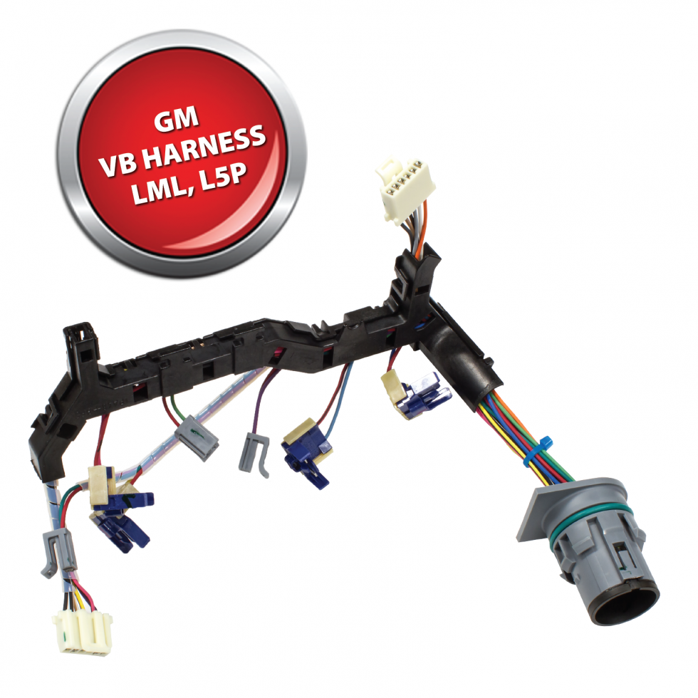 24276403-GM | Xcalliber